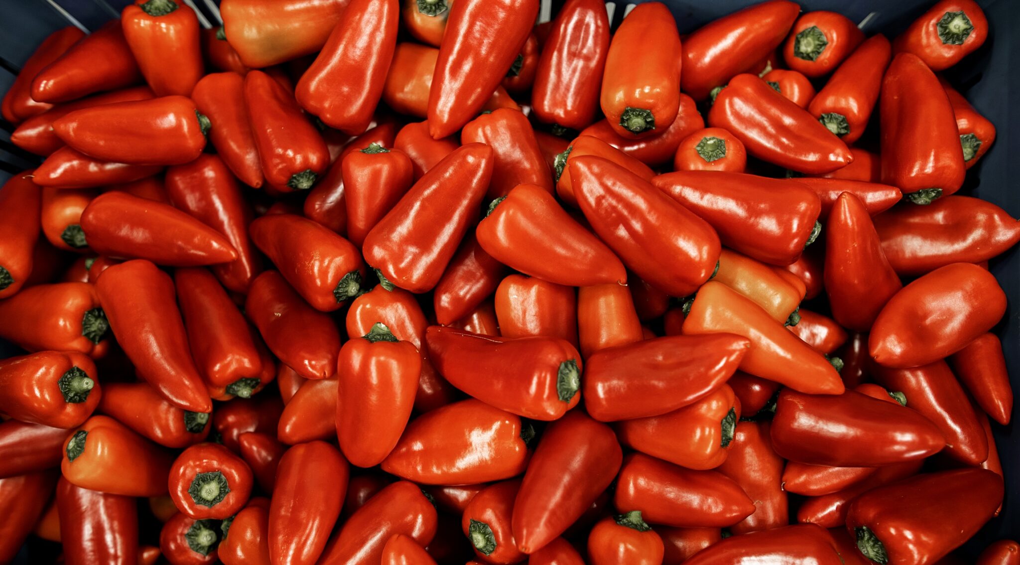 IIVO — Connecting Nature and technology. Developed by Hoogendoorn.