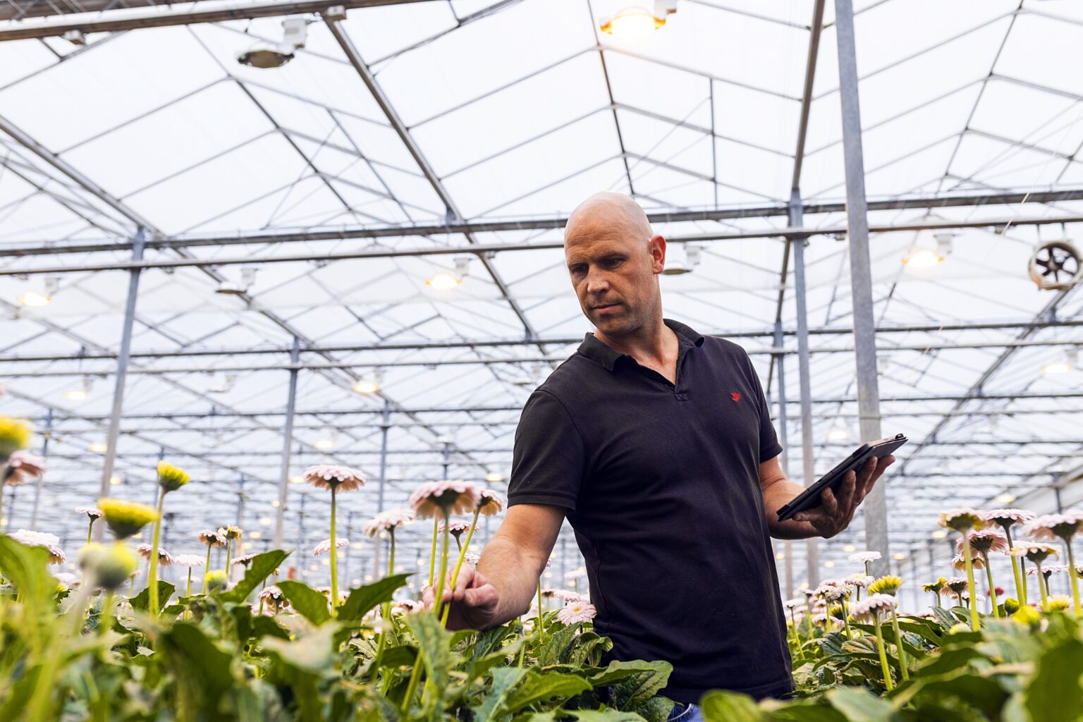 IIVO — Connecting Nature and technology. Developed by Hoogendoorn.