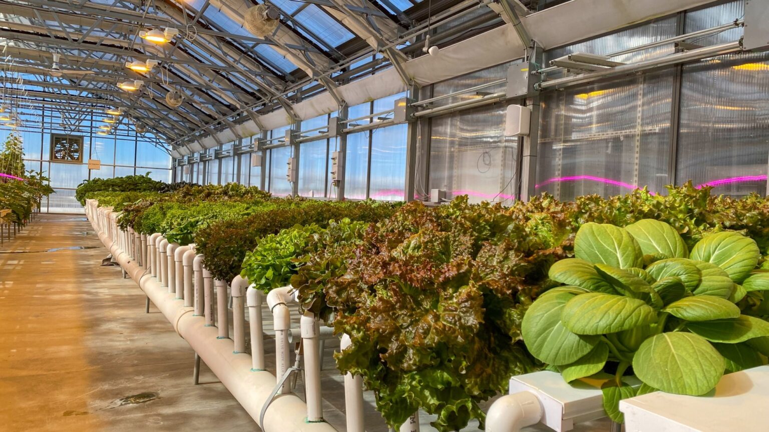 Silver Stream Farm: High-Tech Farming in One of America's Harshest ...